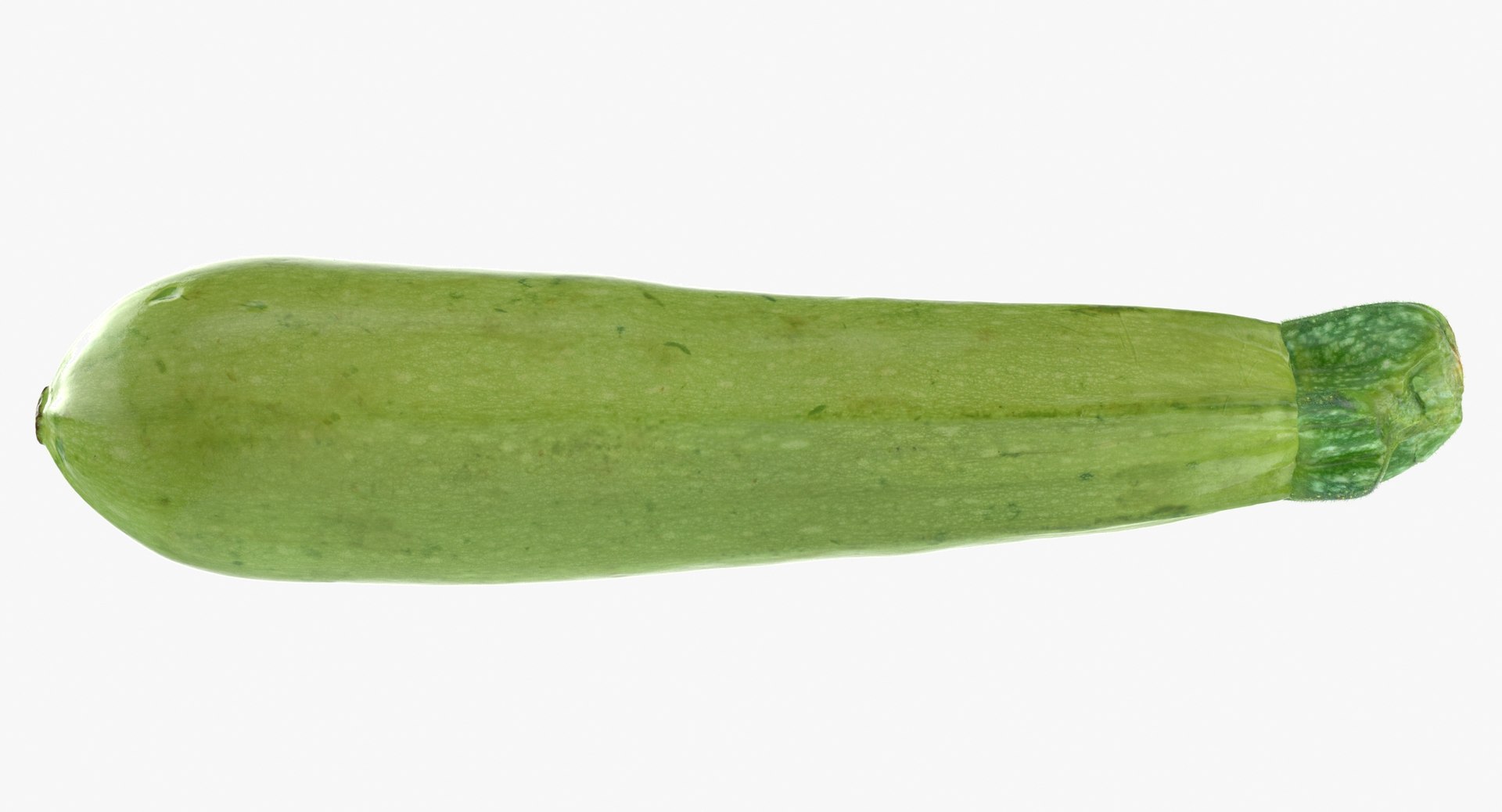 Cousa squash 01 3D model - TurboSquid 1473075