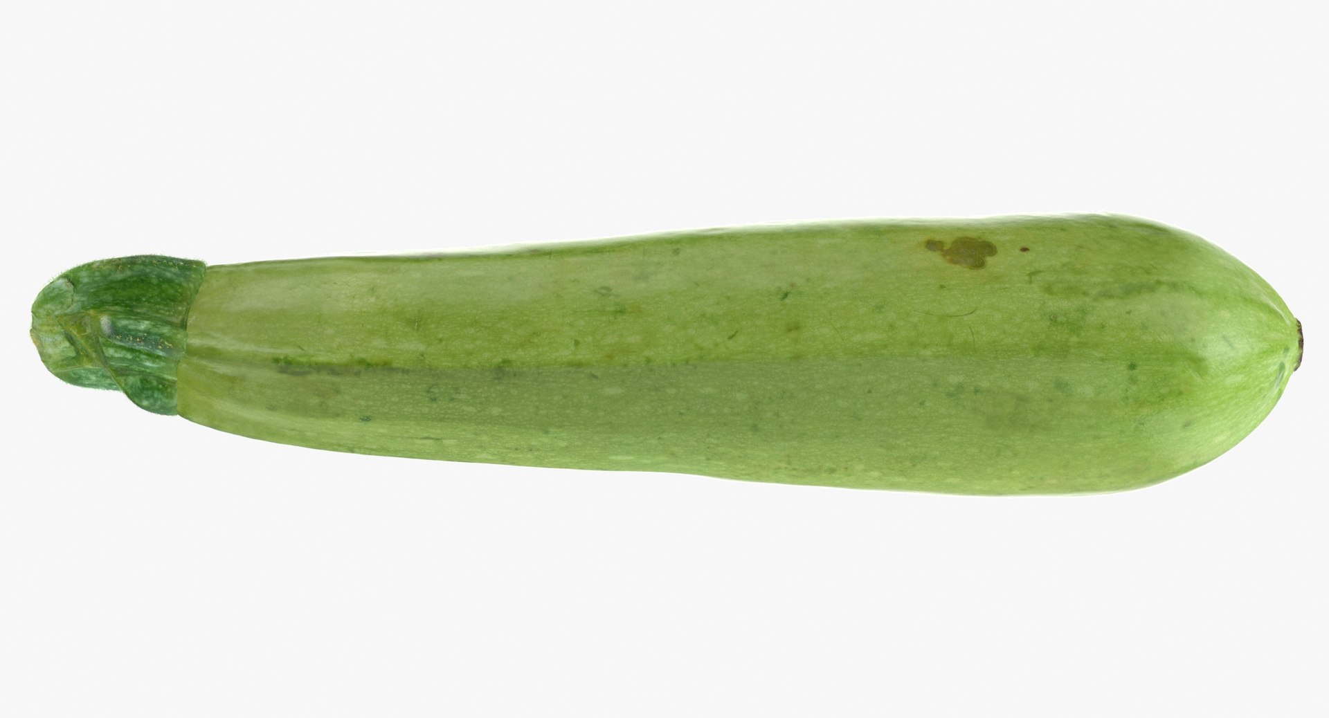 Cousa squash 01 3D model - TurboSquid 1473075