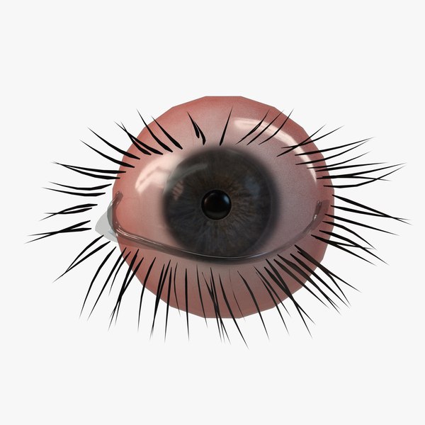 3D Realistic PBR Eye Set 8 Pieces - TurboSquid 1731040