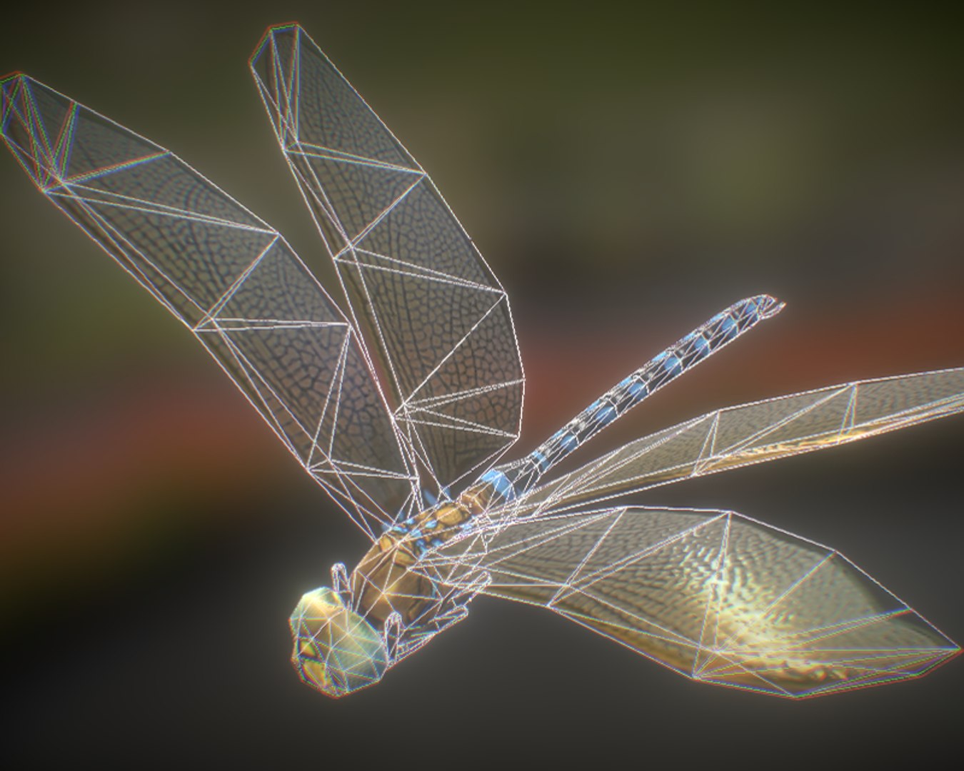 Dragonfly 01 3d Model