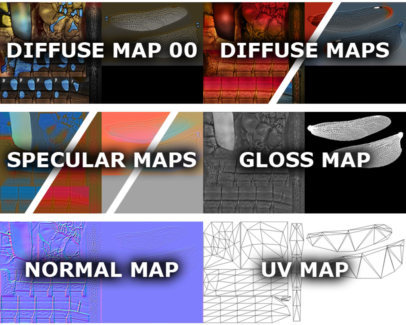 dragonfly 01 3d model