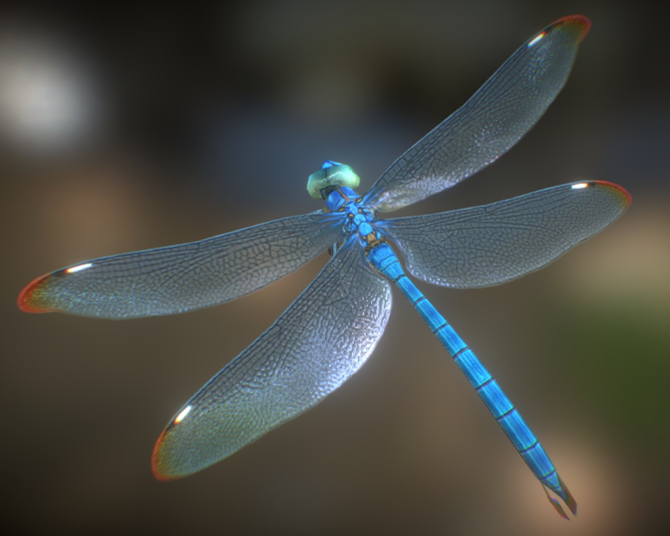 Dragonfly 01 3d Model