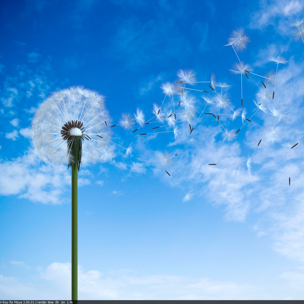 Dandelion simple animation model - TurboSquid 1401117
