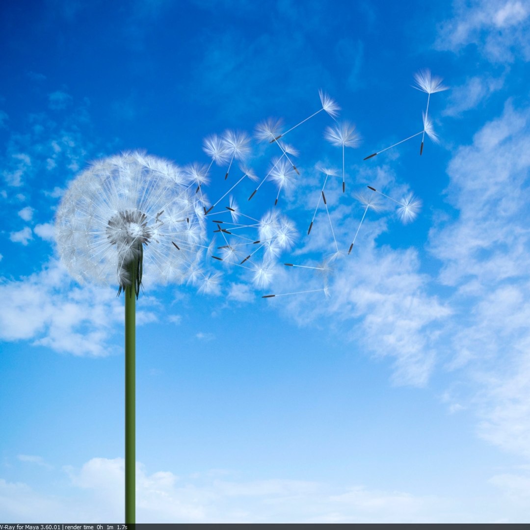 Dandelion Simple Animation Model - TurboSquid 1401117