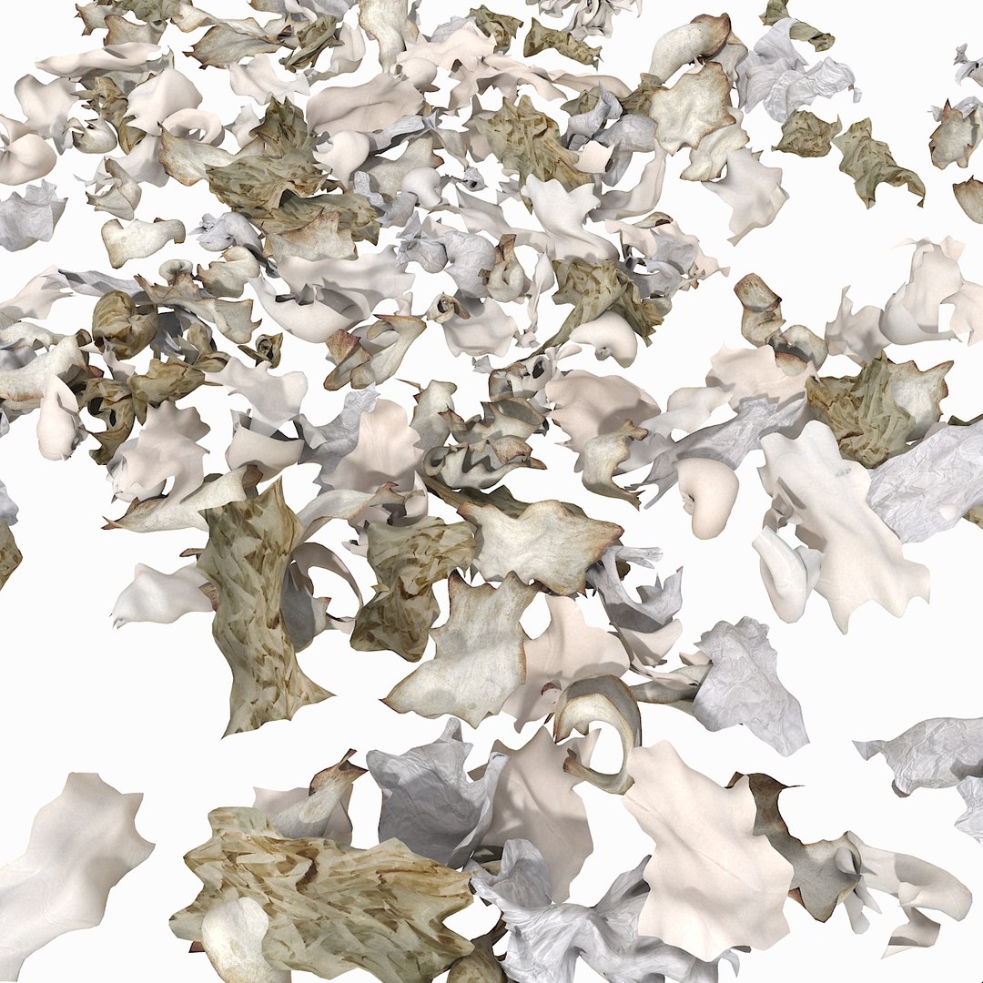 3d Model Paper Trash Rubbish