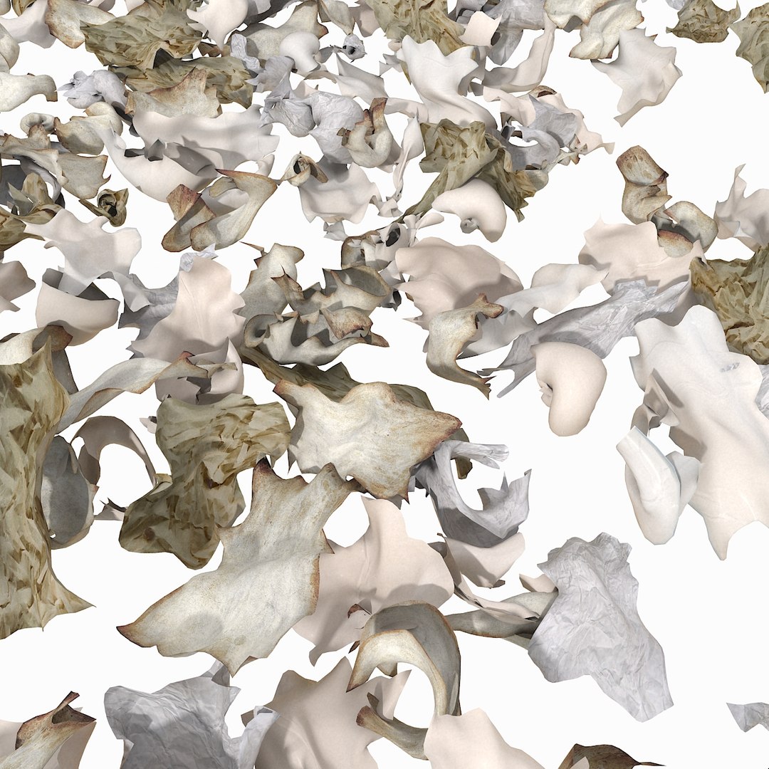 3d Model Paper Trash Rubbish