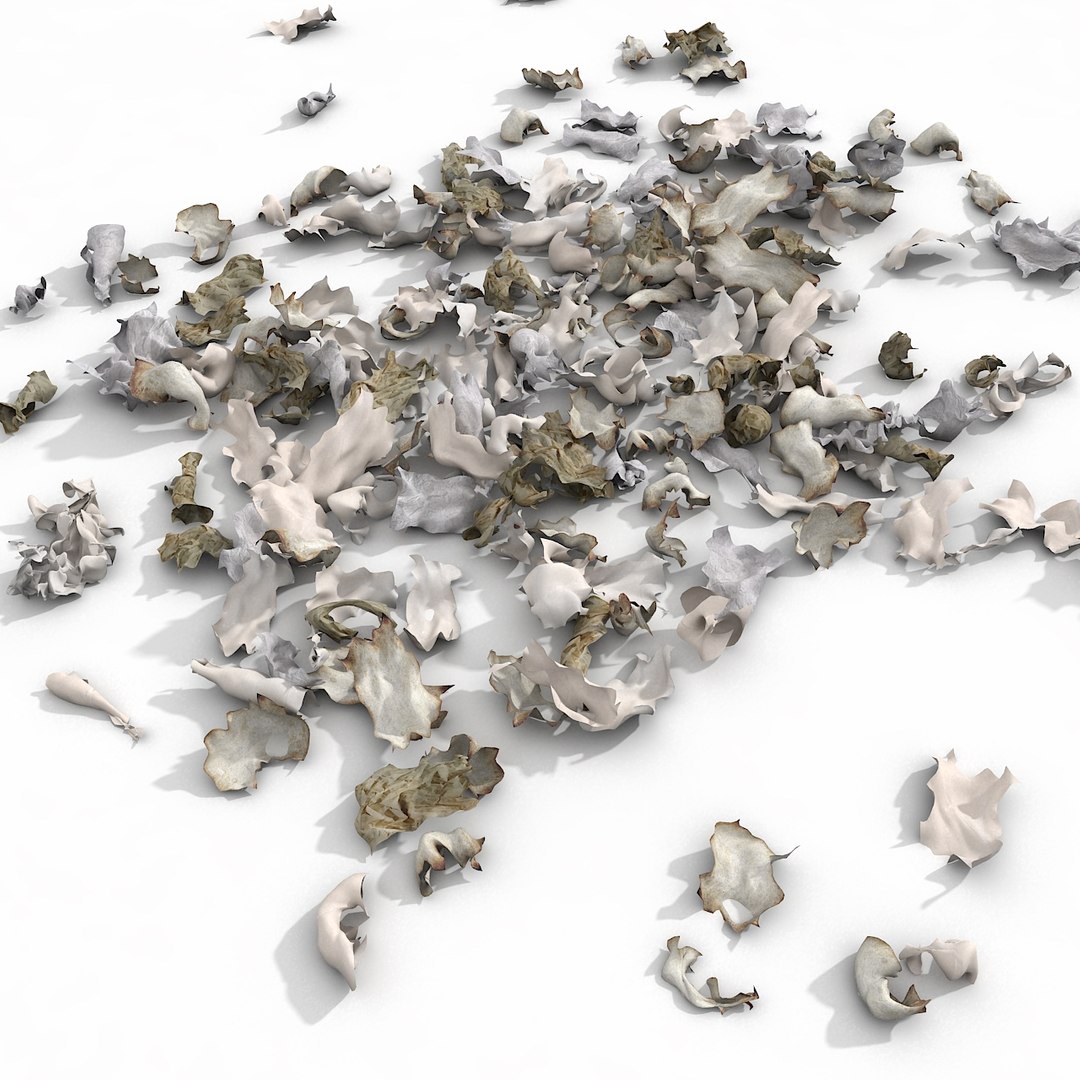 3d Model Paper Trash Rubbish