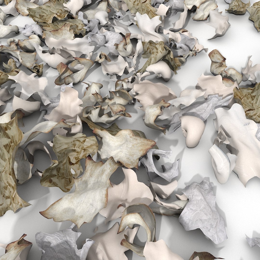 3d Model Paper Trash Rubbish