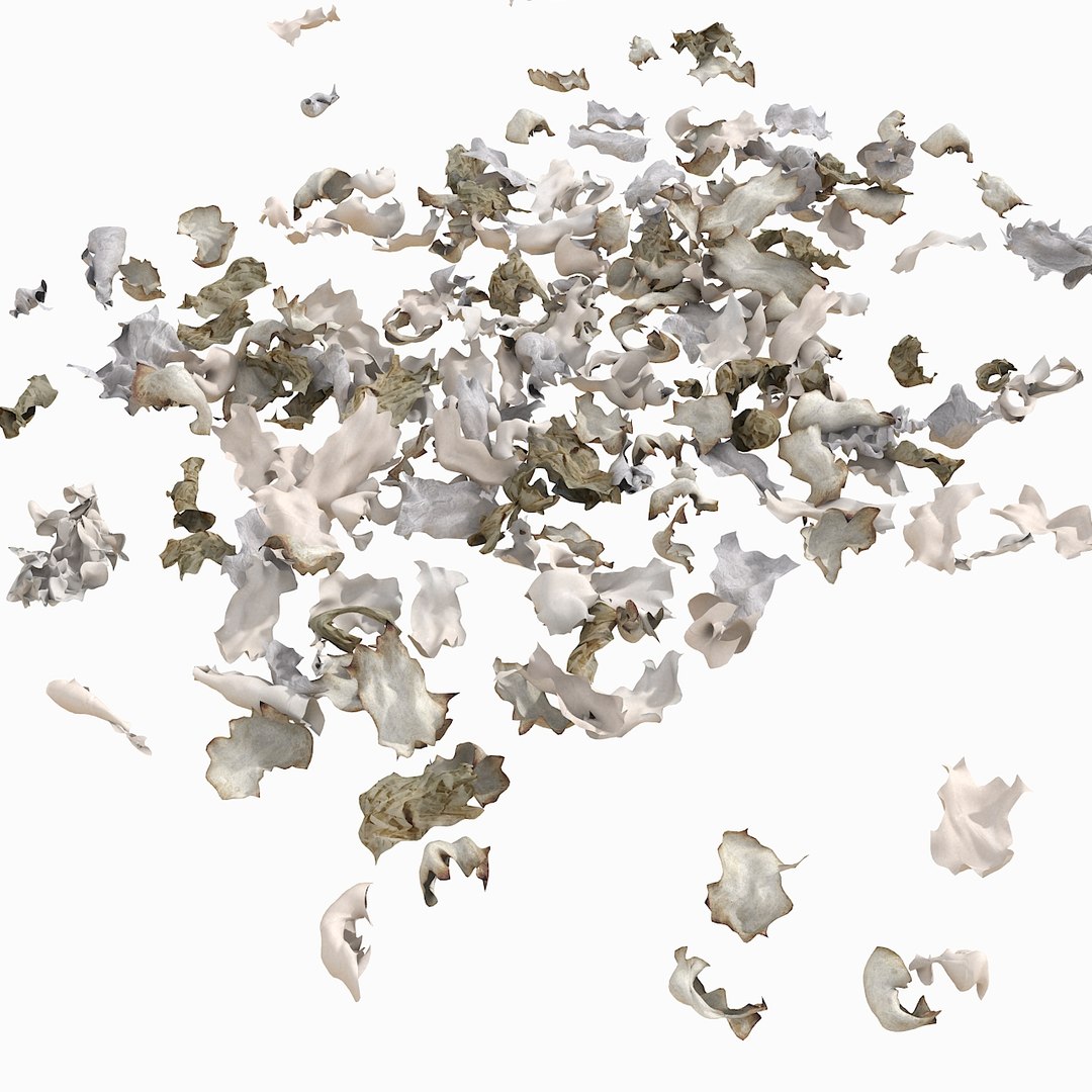 3d Model Paper Trash Rubbish