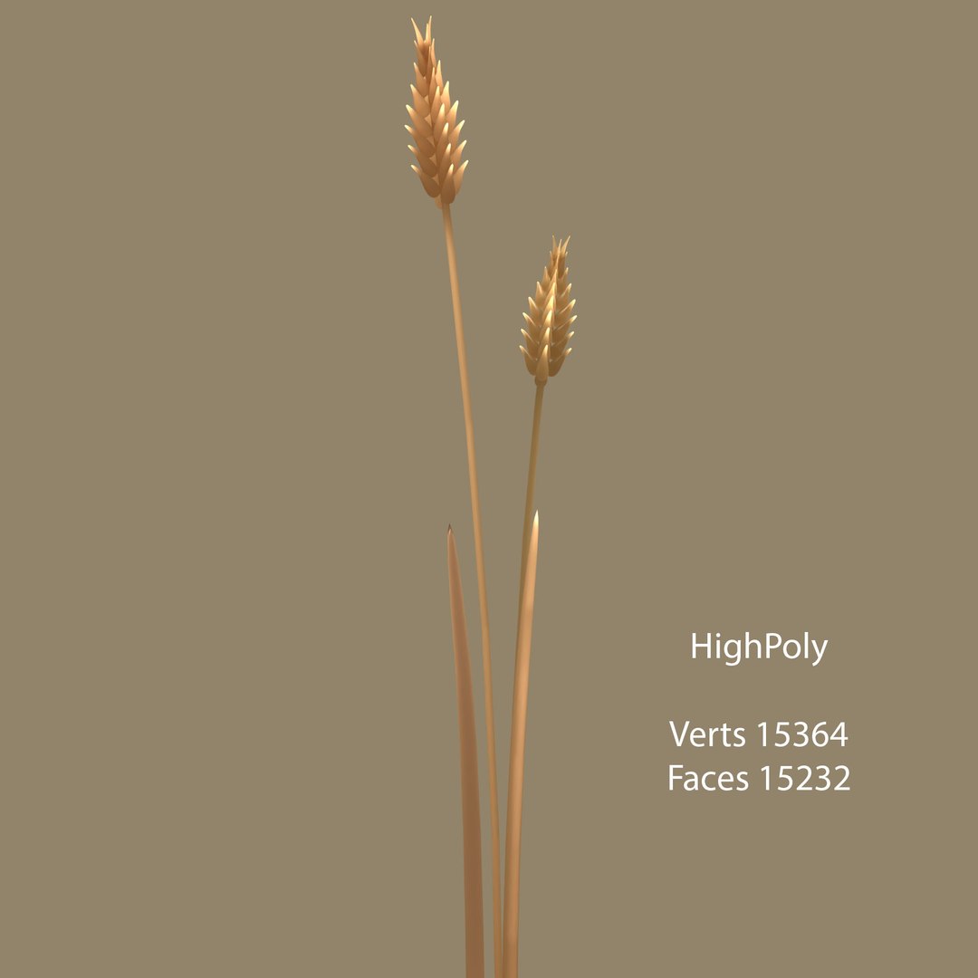 Stylized Wheat 3D Model - TurboSquid 1329269