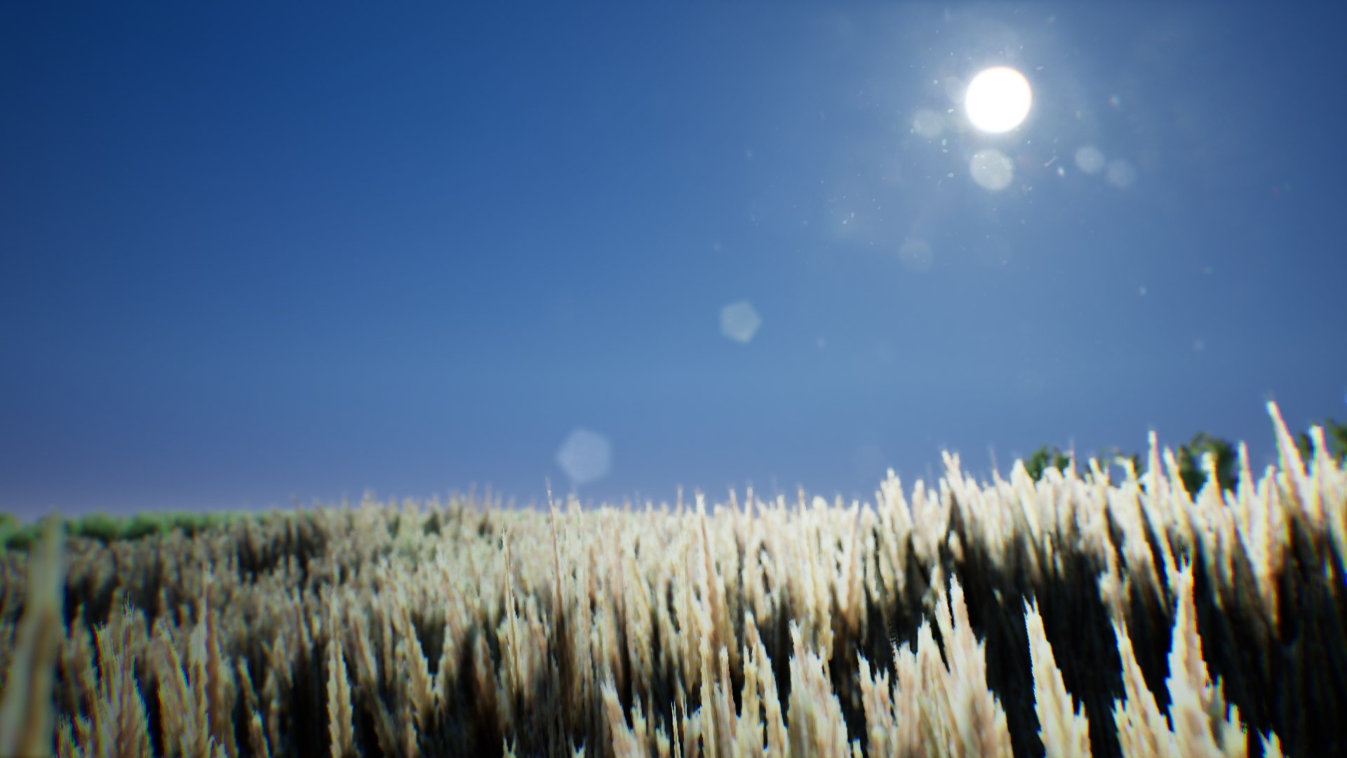 Stylized Wheat 3D Model - TurboSquid 1329269