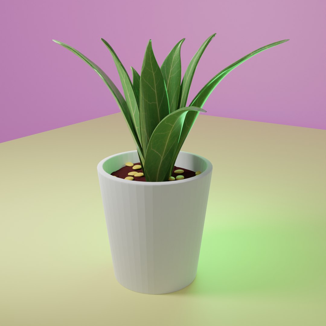 3D Pot Plant - TurboSquid 2129232