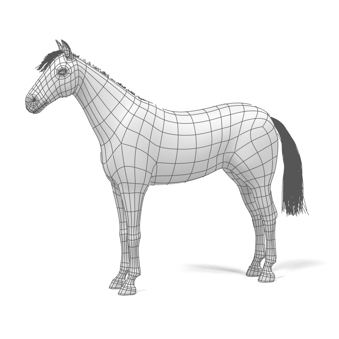 Quarter Horse 3d Model