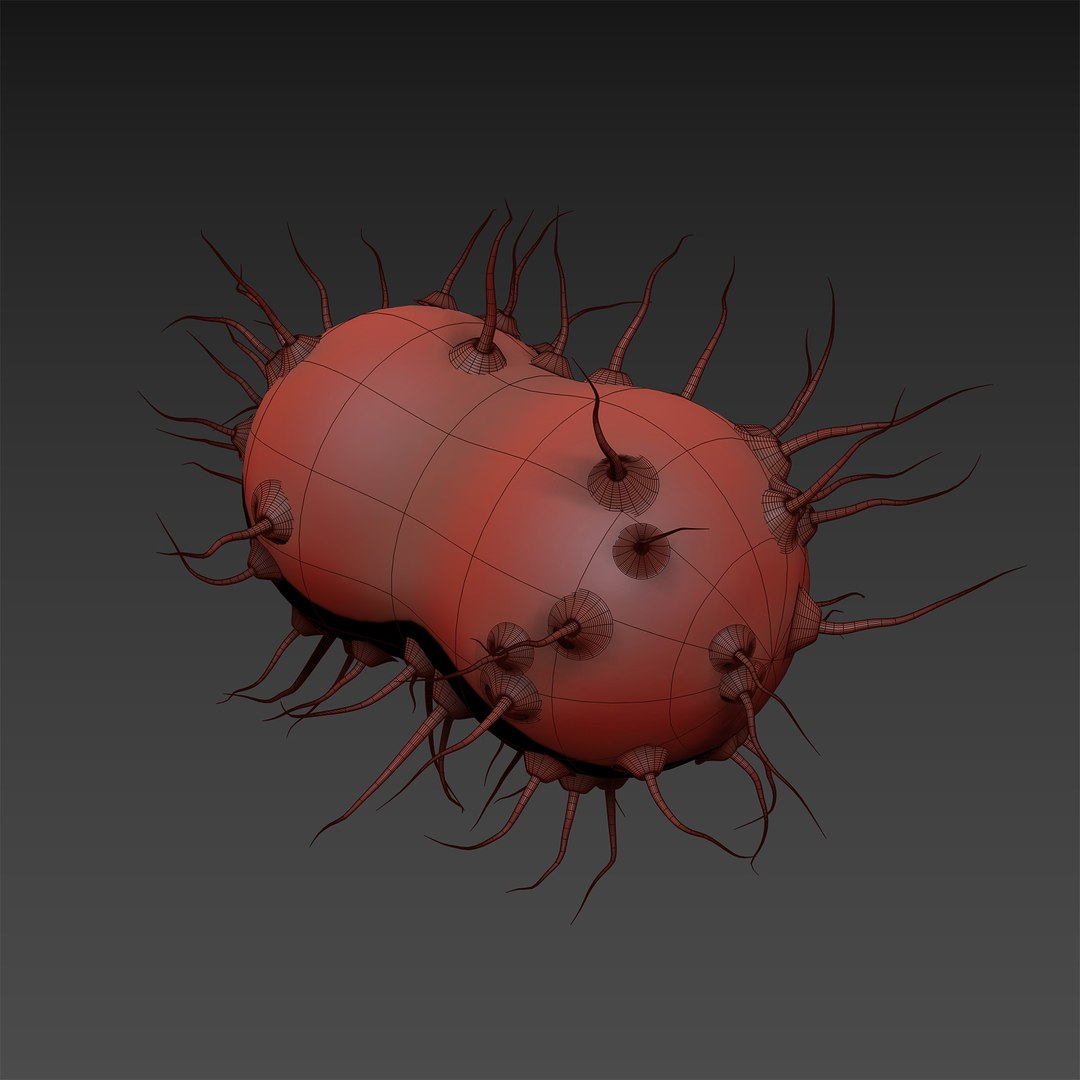 3D Model Microbes Micro Organisms - TurboSquid 1626103