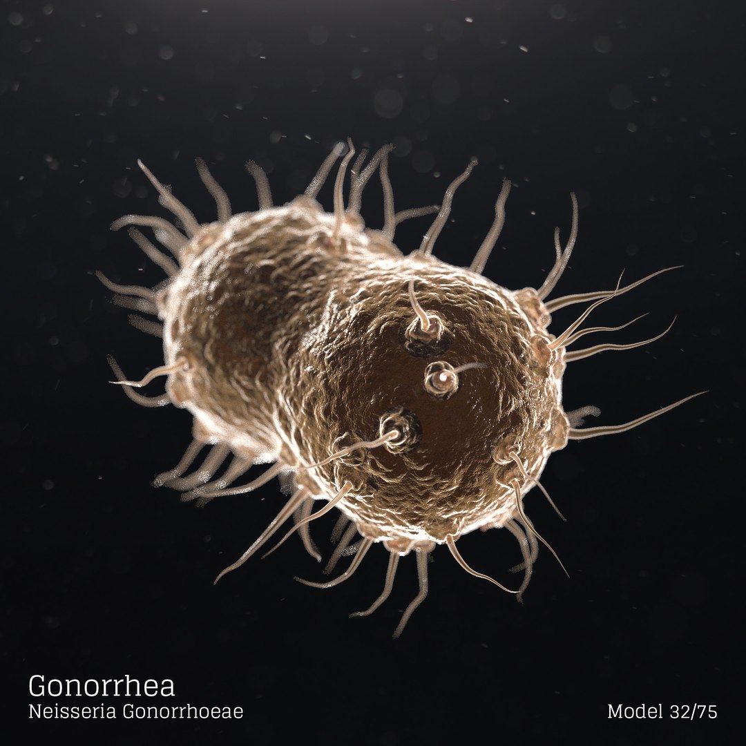 3D Model Microbes Micro Organisms - TurboSquid 1626103