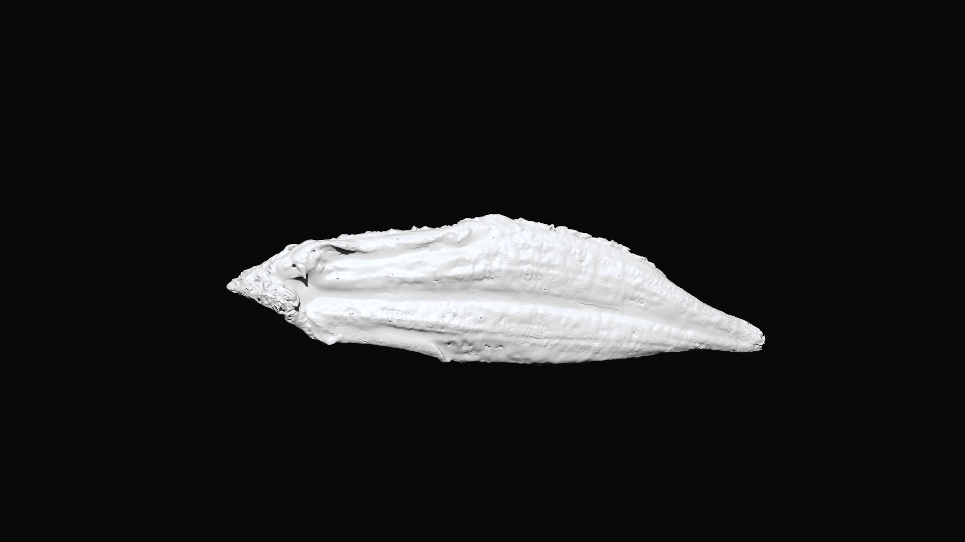 3D Model Grilled Eel 3D CT Scan Model - TurboSquid 1965545