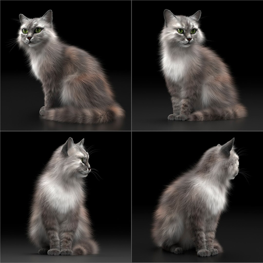 Cat fur model - TurboSquid 1538786