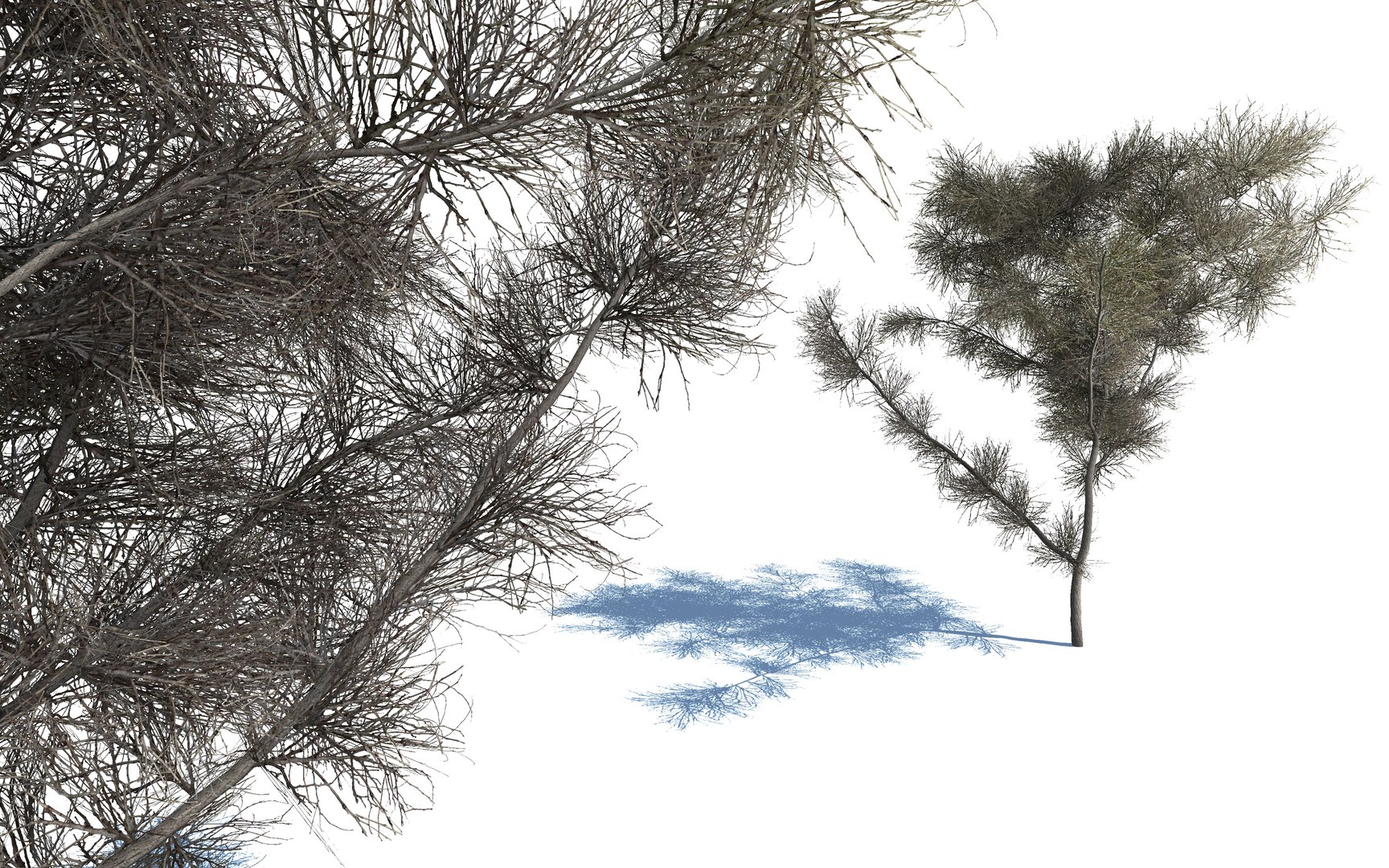 Realistic Dead Tree 3D Model - TurboSquid 1513593