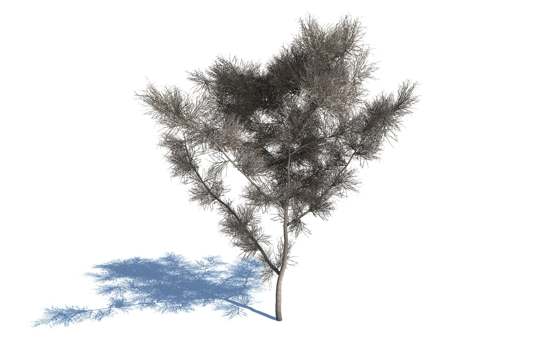 Realistic Dead Tree 3D Model - TurboSquid 1513593