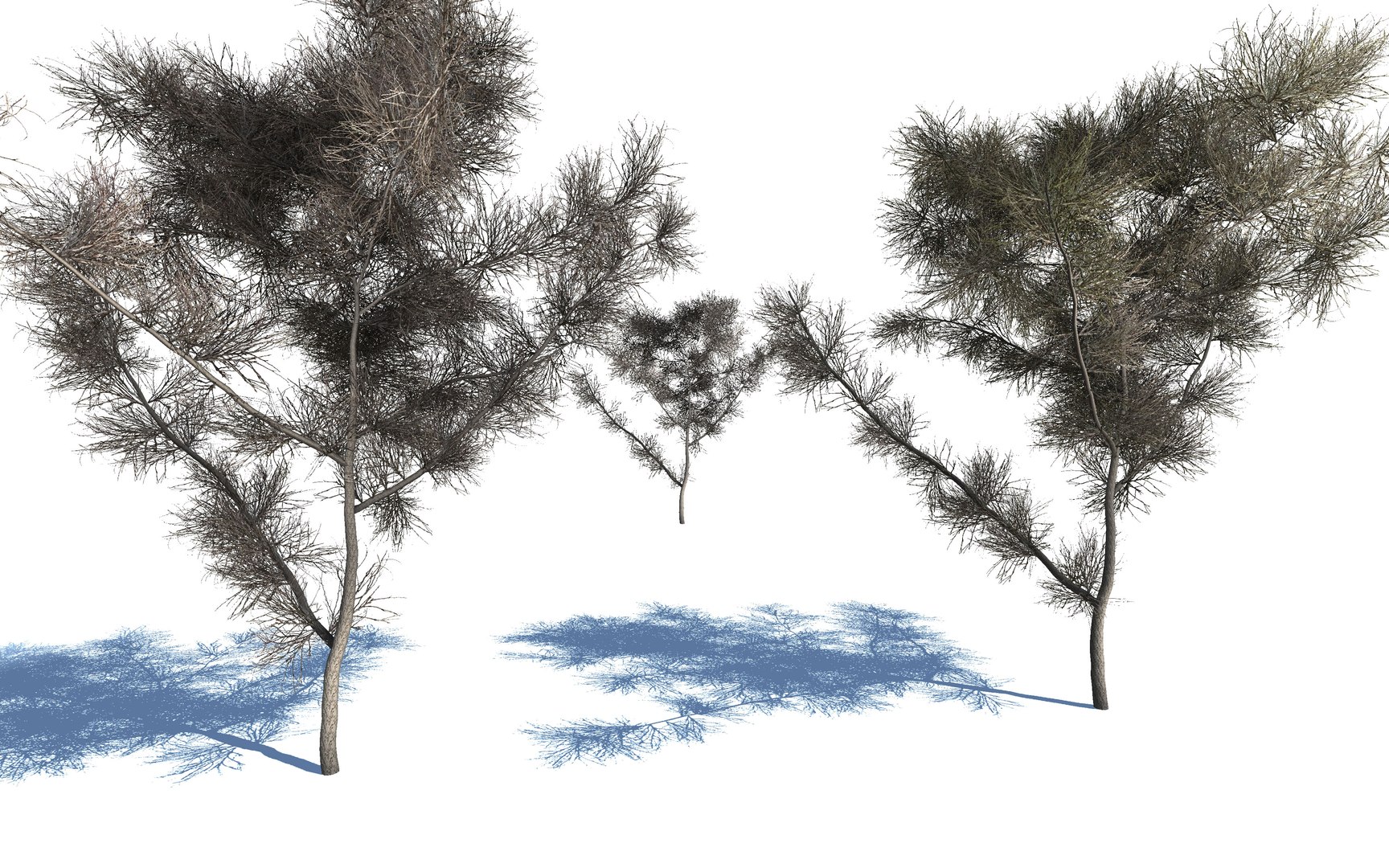 Realistic Dead Tree 3D Model - TurboSquid 1513593