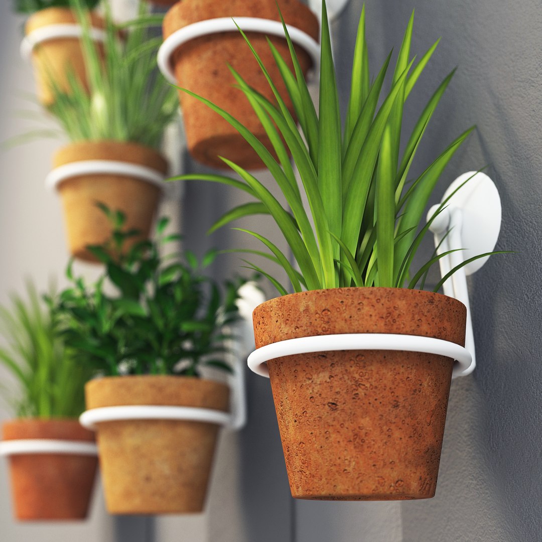 Pot Wall 3d Max