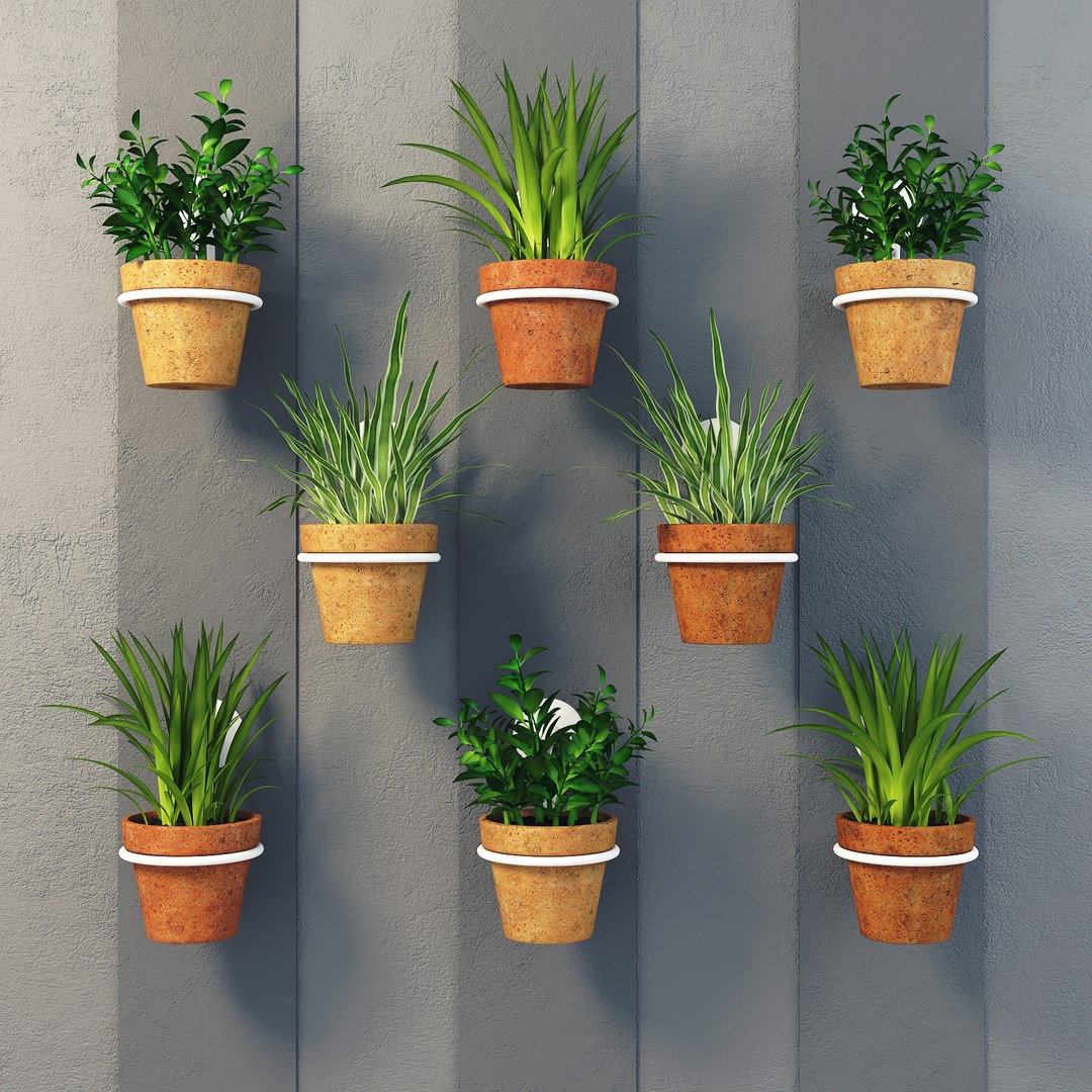 Pot Wall 3d Max