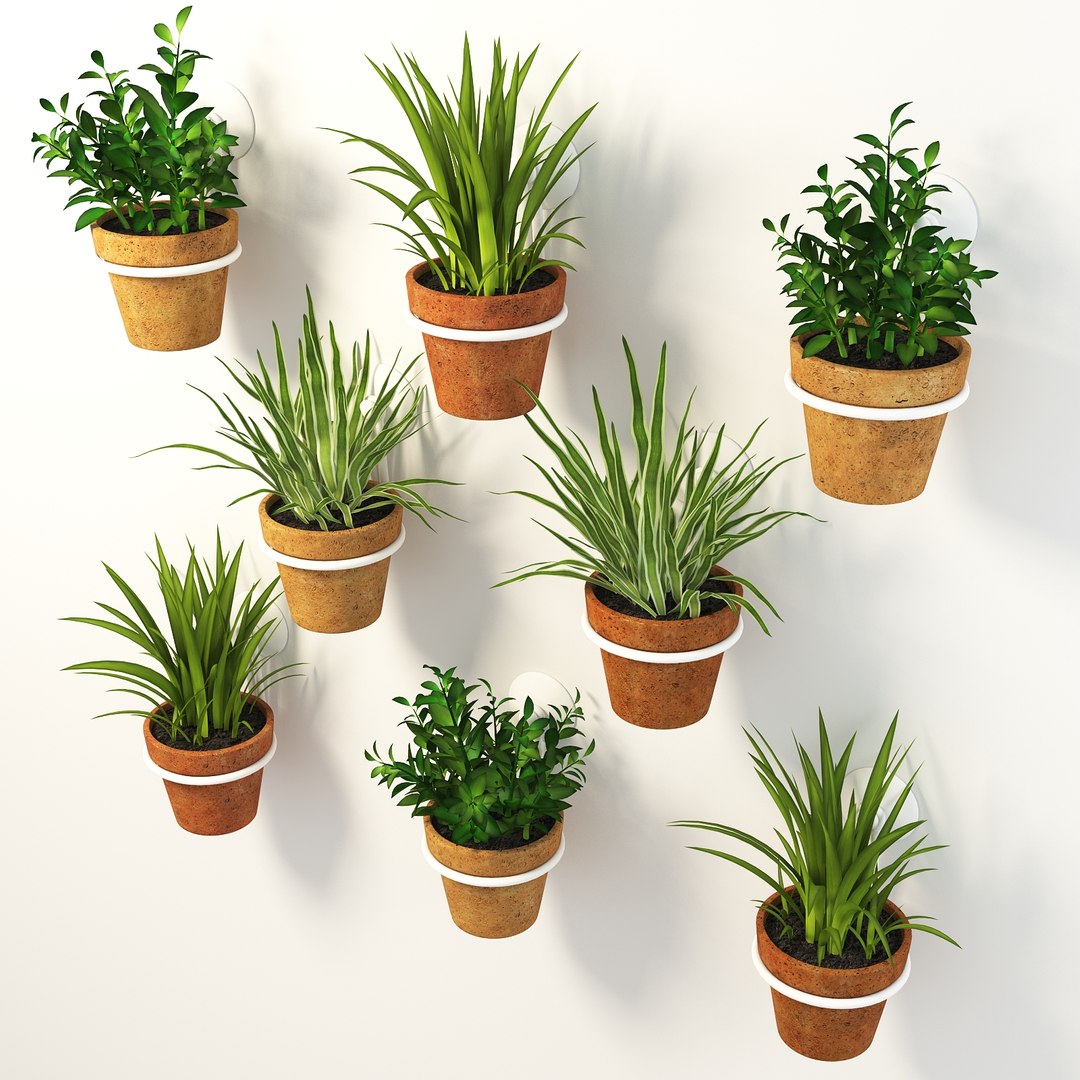 Pot Wall 3d Max
