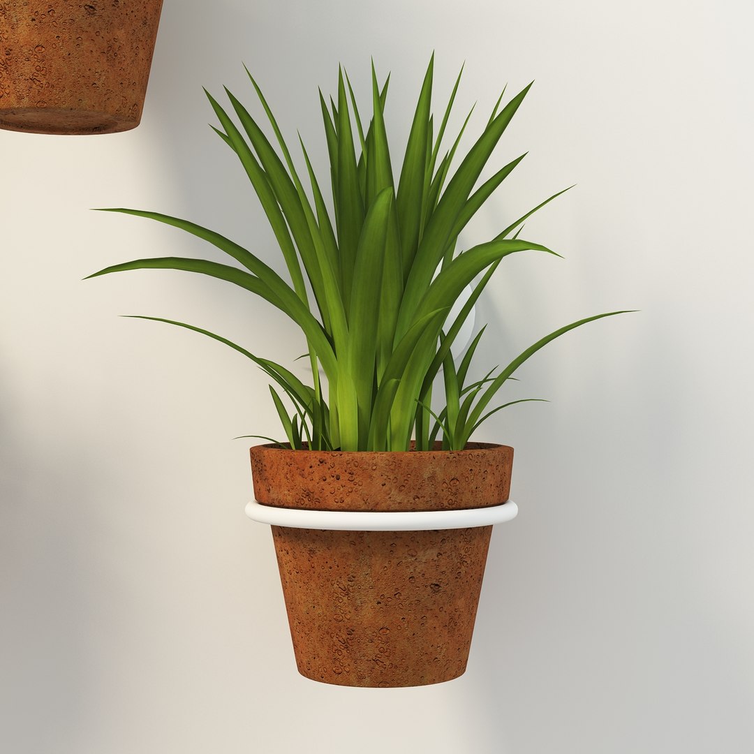 Pot Wall 3d Max