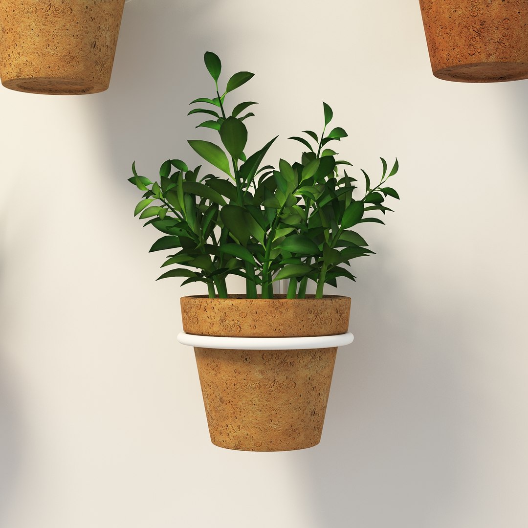 Pot Wall 3d Max