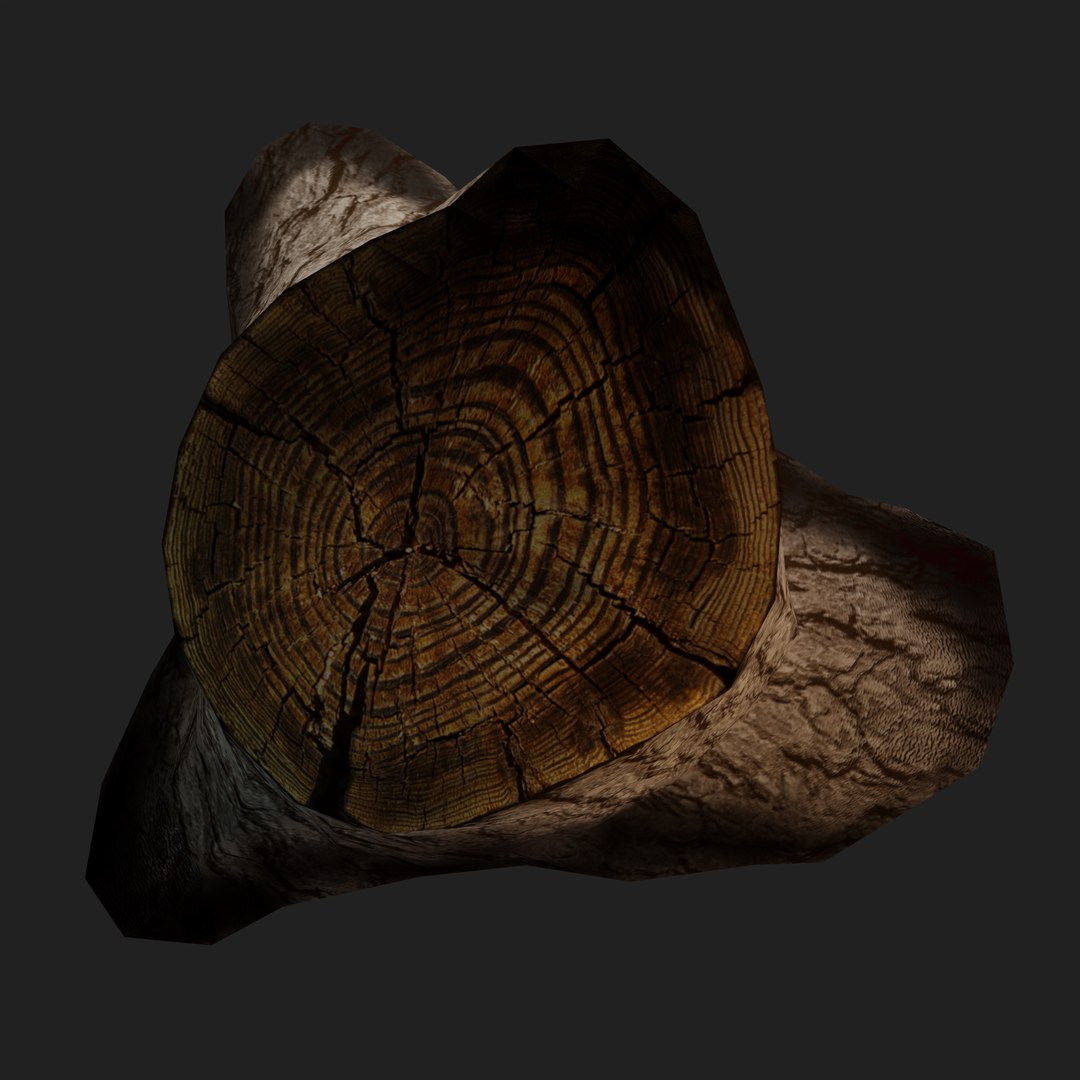 3D Stump - TurboSquid 2129512