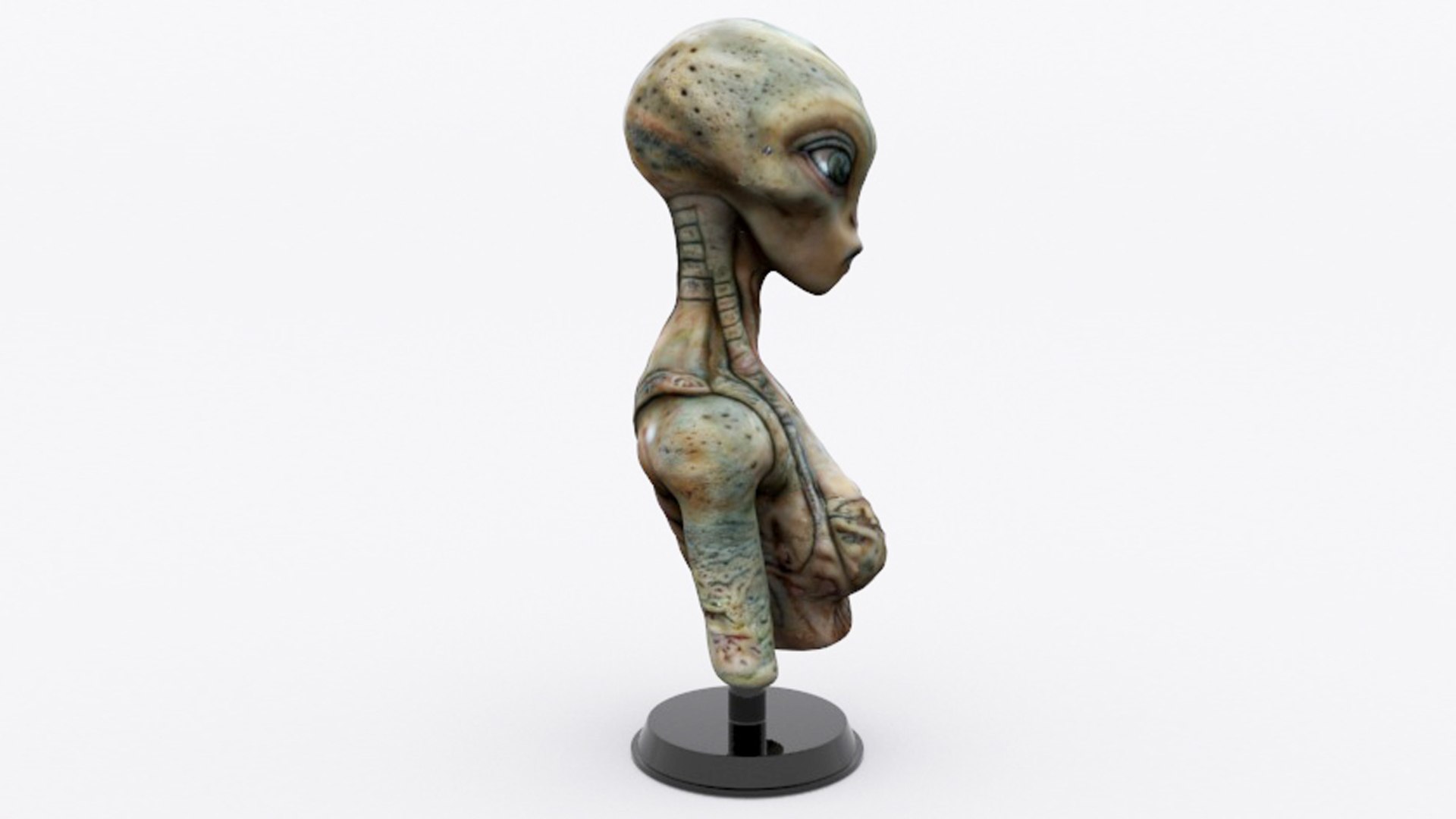 3D Alien Woman Bust - TurboSquid 2277375
