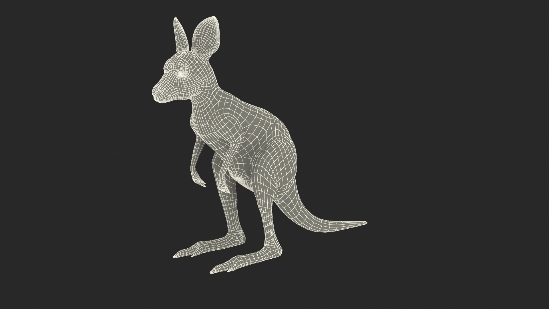 Baby Kangaroo 3D - TurboSquid 2248158