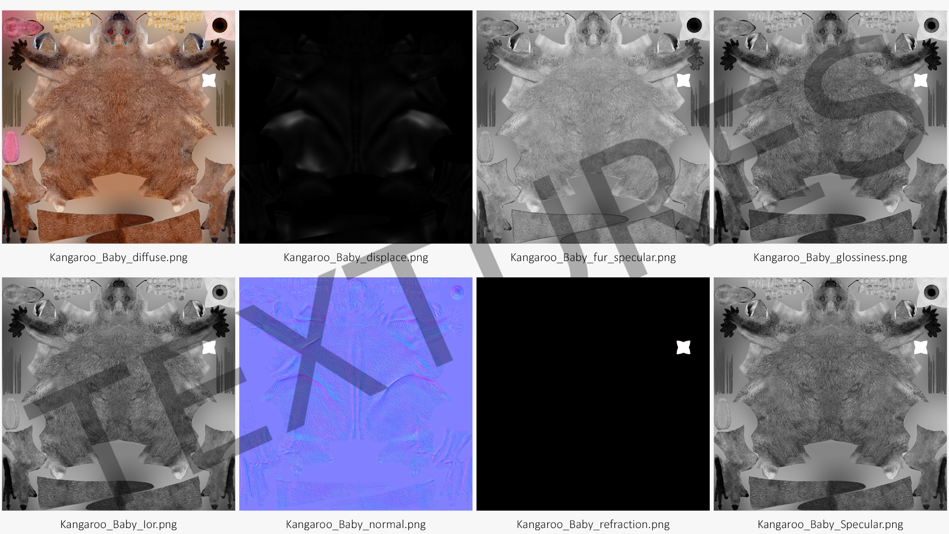 Baby Kangaroo 3D - TurboSquid 2248158