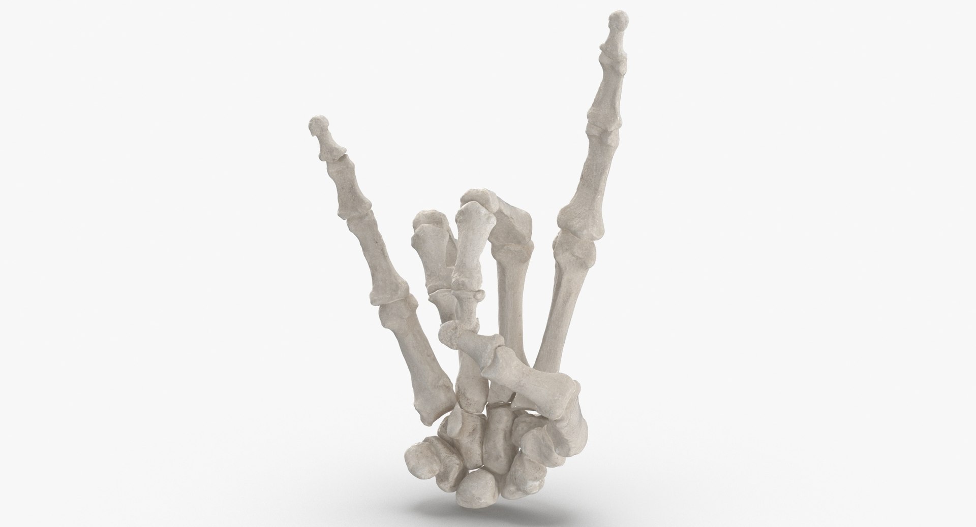 3D Human Hand Bones Rock Sign White And Yellow Collection 01 - 2 Models ...
