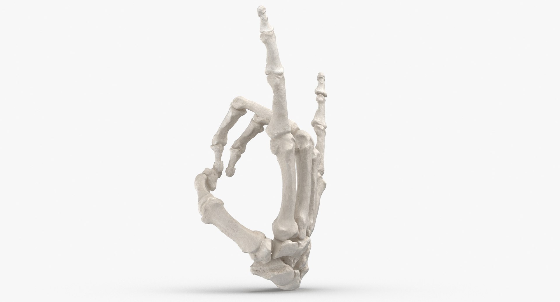 3D Human Hand Bones Rock Sign White And Yellow Collection 01 - 2 Models ...