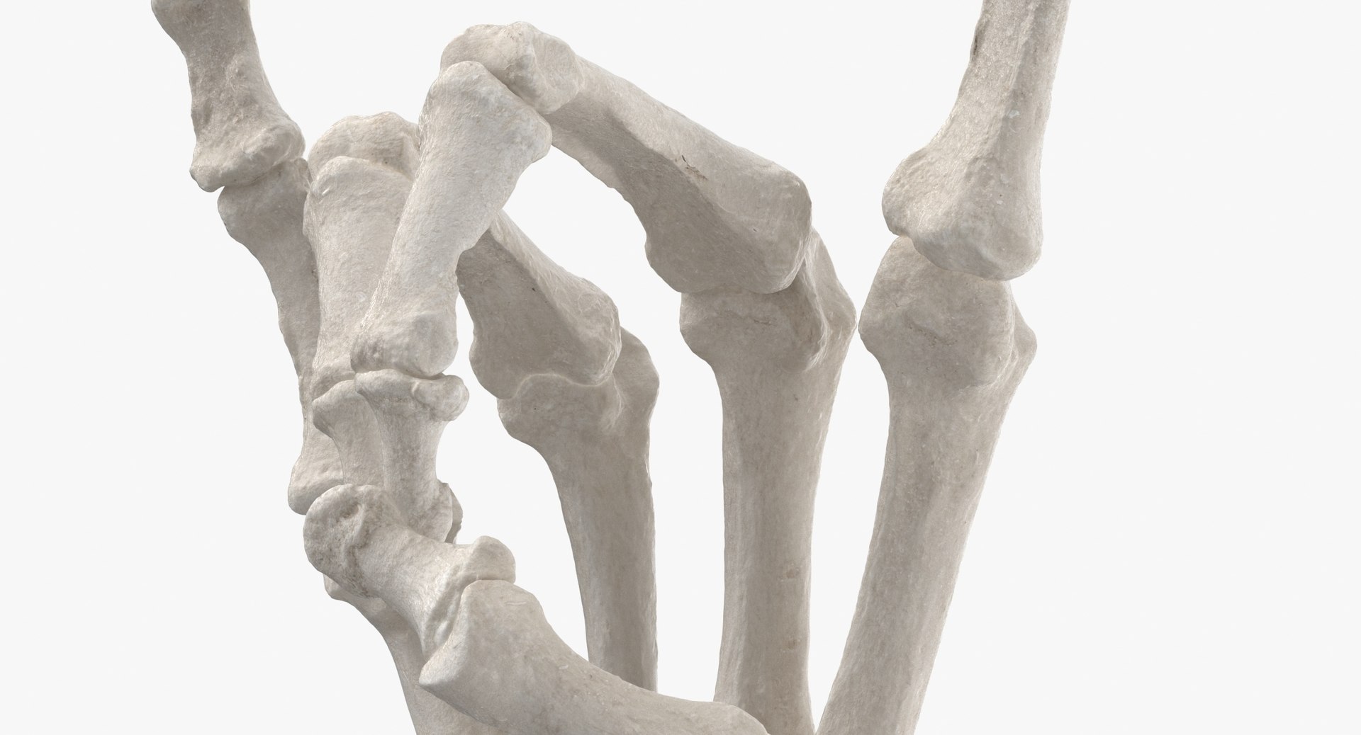 3D Human Hand Bones Rock Sign White And Yellow Collection 01 - 2 Models ...