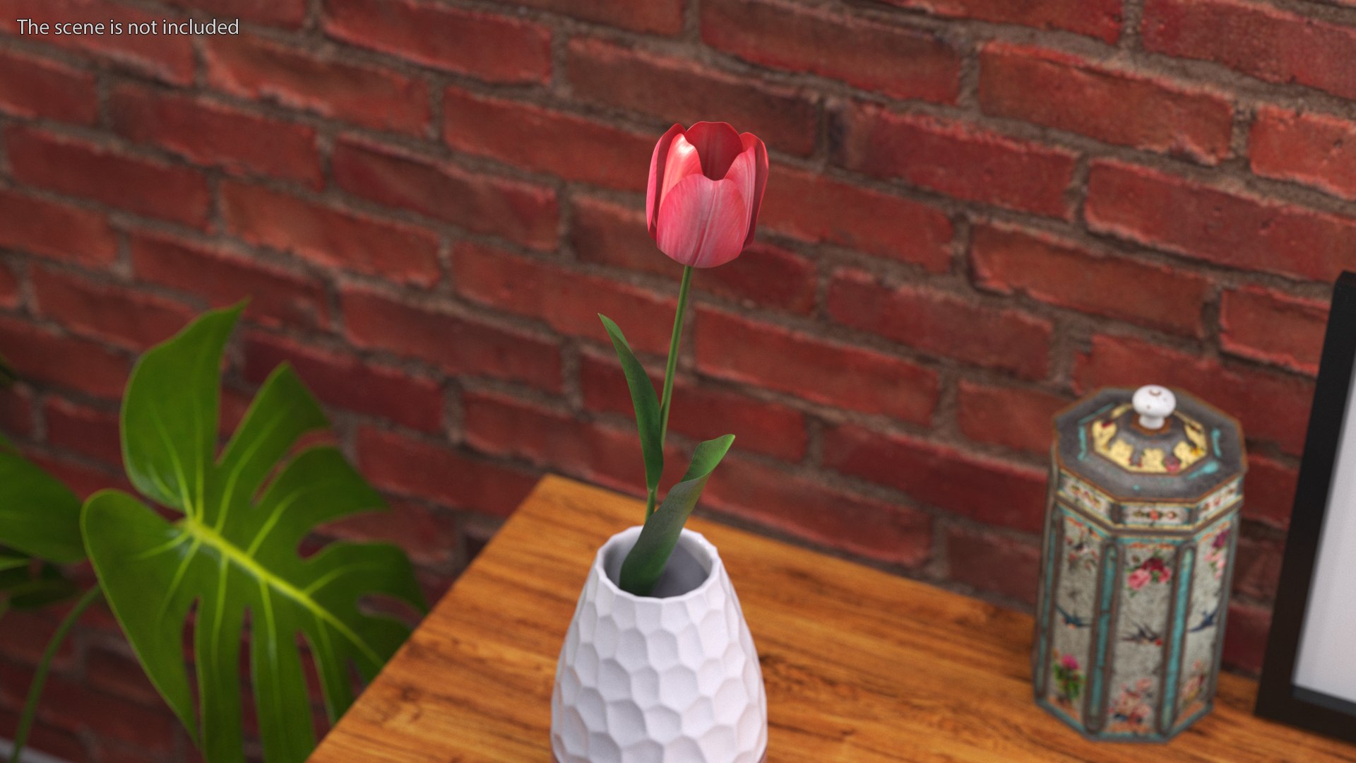 3D Pink Tulip Flower - TurboSquid 2186745