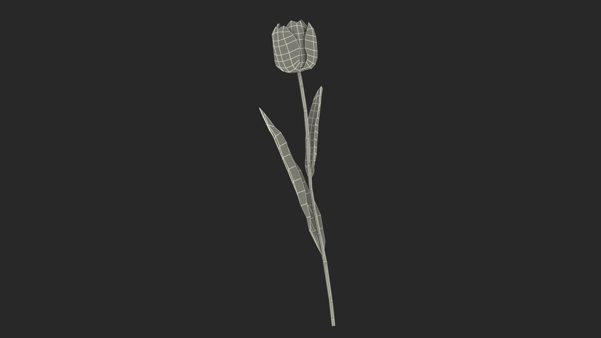 3D Pink Tulip Flower - TurboSquid 2186745