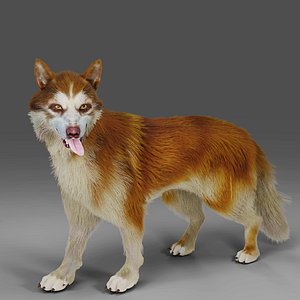 3D Dog Blender Models - Browse & Download Formats - TurboSquid