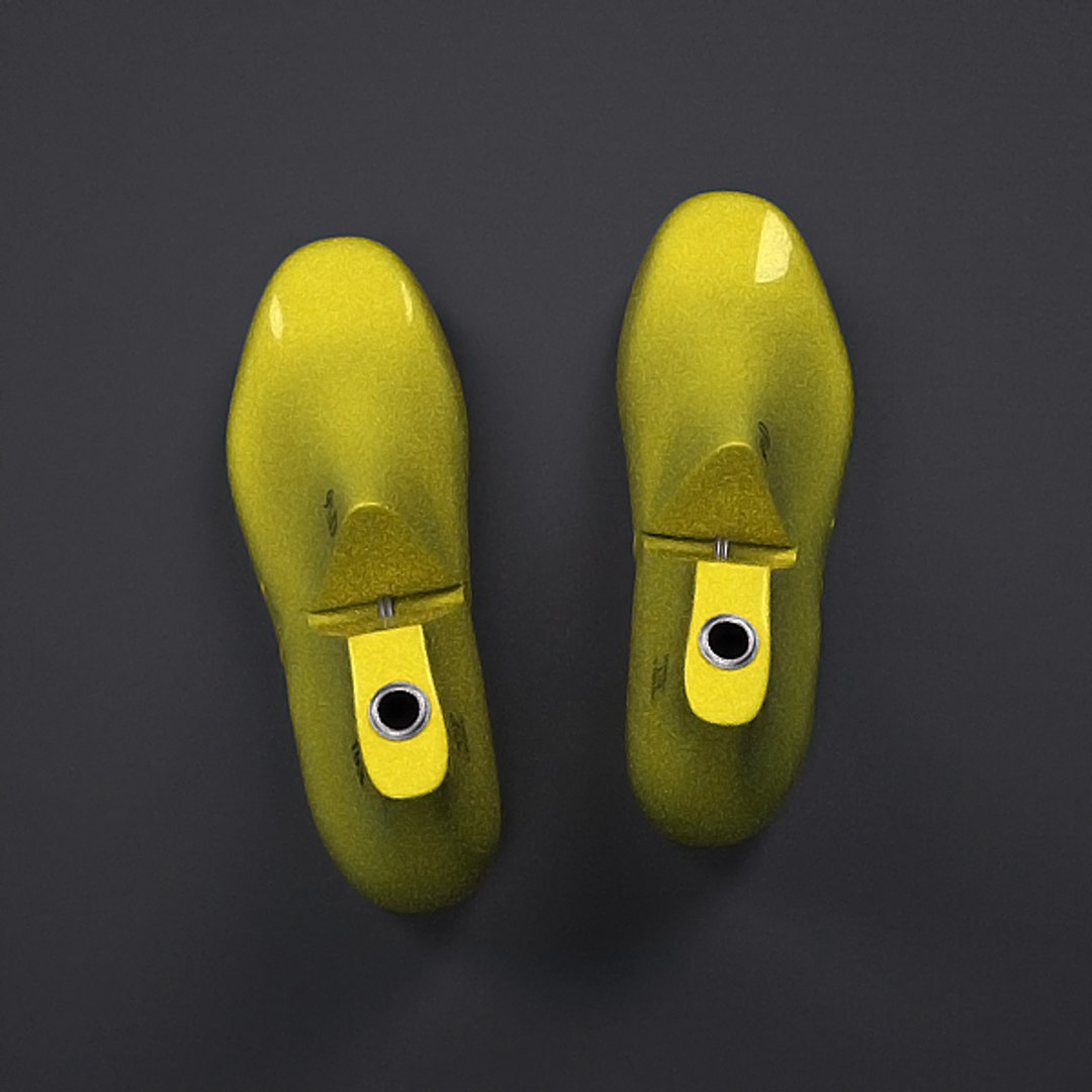 3ds Form Shoes Lasts