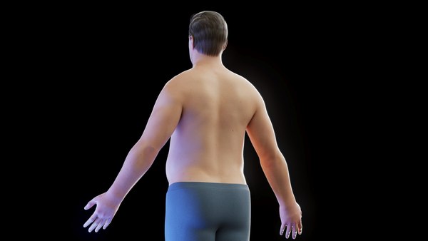 modelo 3d Anatomía Humana Completa Hombre Obeso - TurboSquid 2029369