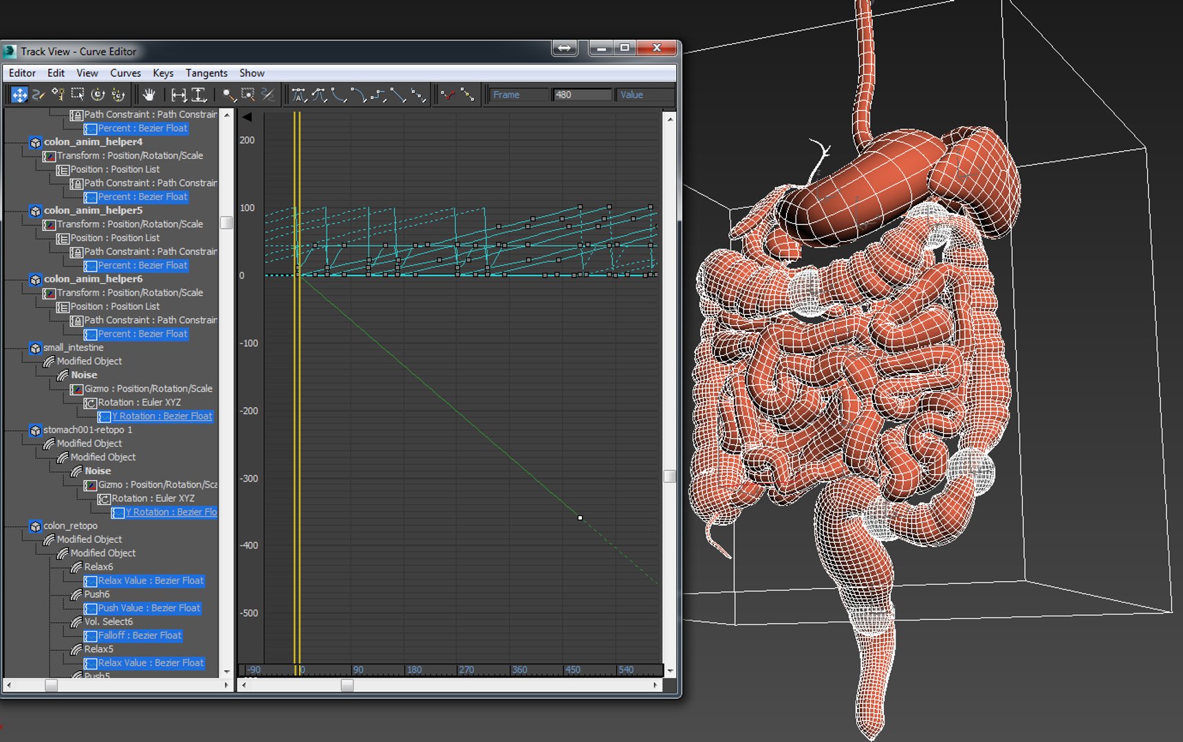 Human Digestive Animation 3d Model
