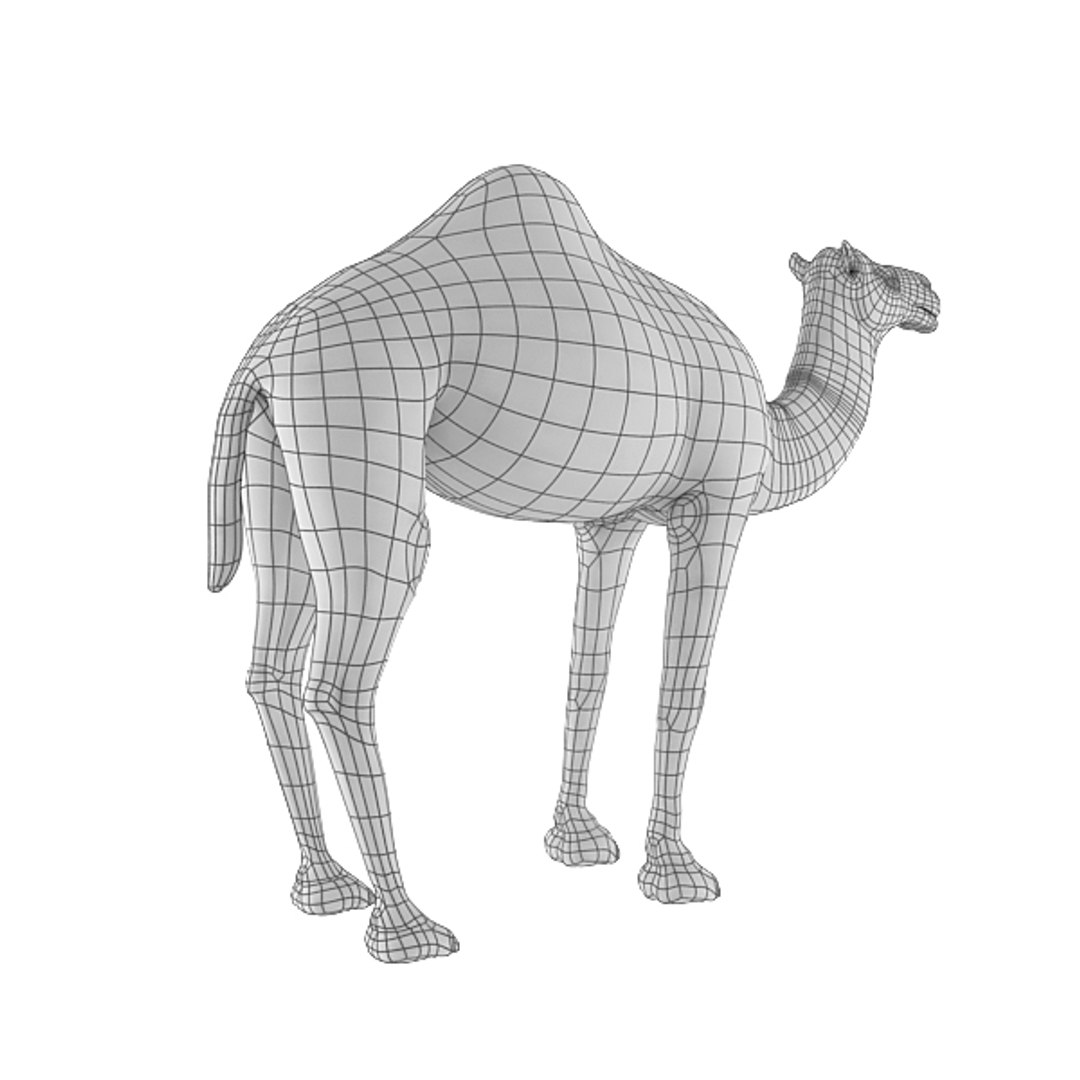 base mesh camel max