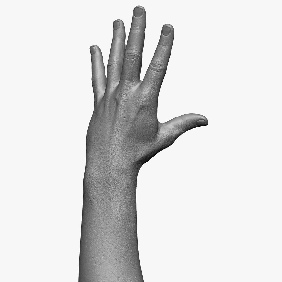 Hand Zbrush 3D Model - TurboSquid 1225137