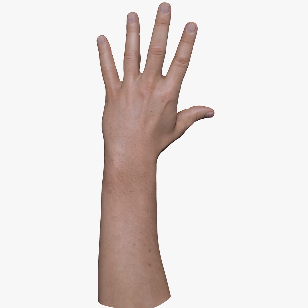 Hand Zbrush 3D Model - TurboSquid 1225137
