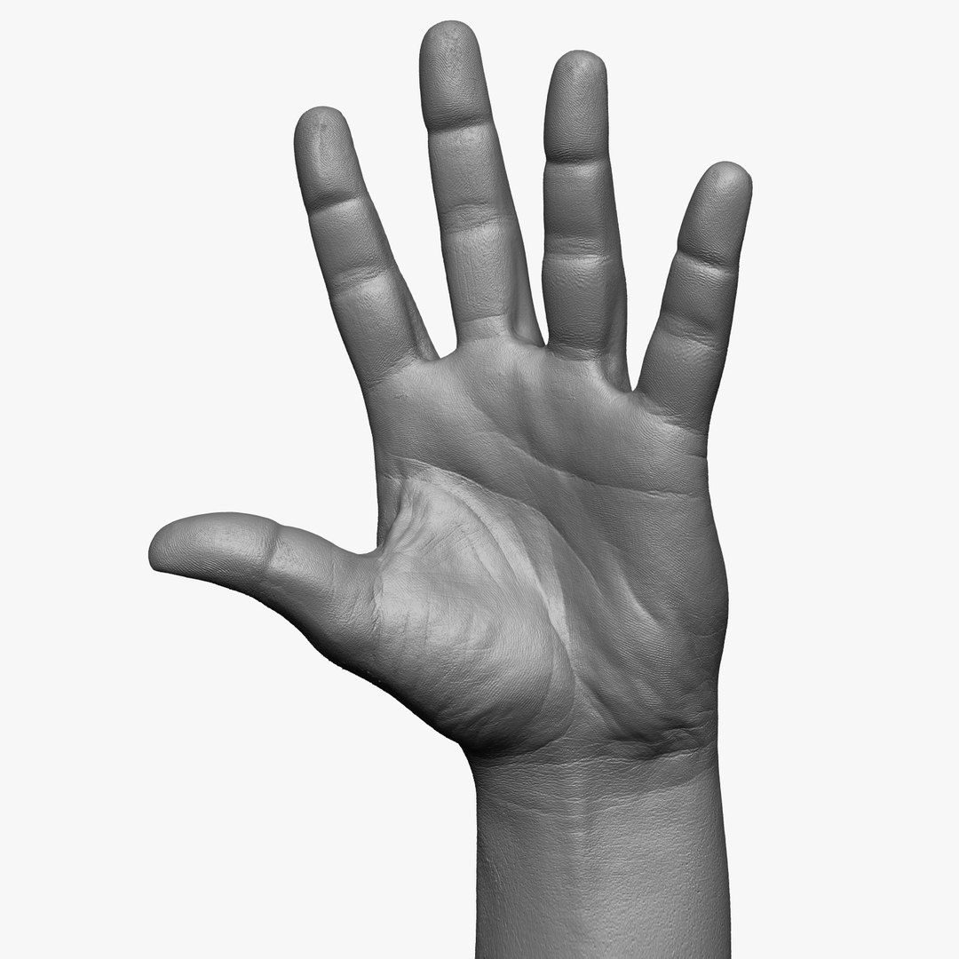 Hand Zbrush 3D Model - TurboSquid 1225137