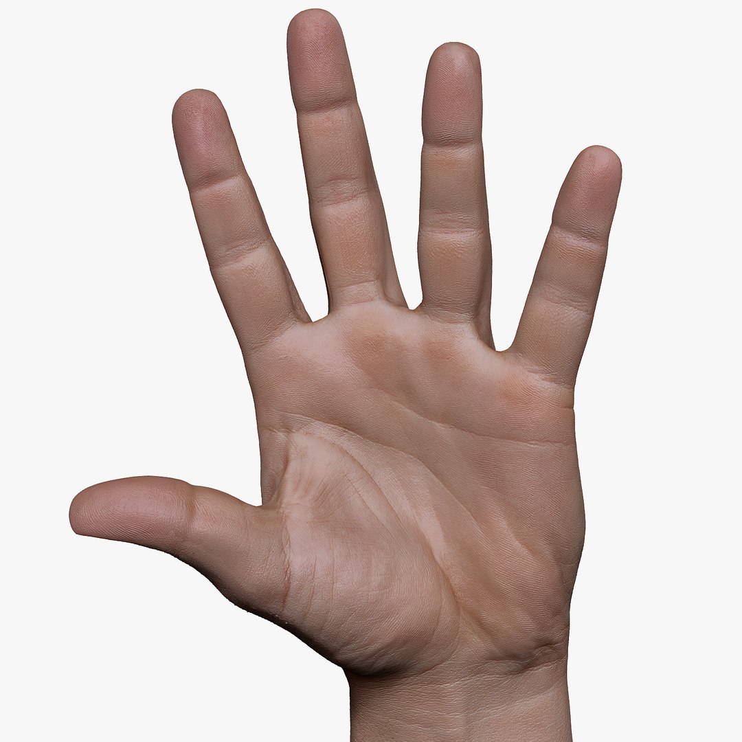 Hand Zbrush 3D Model - TurboSquid 1225137