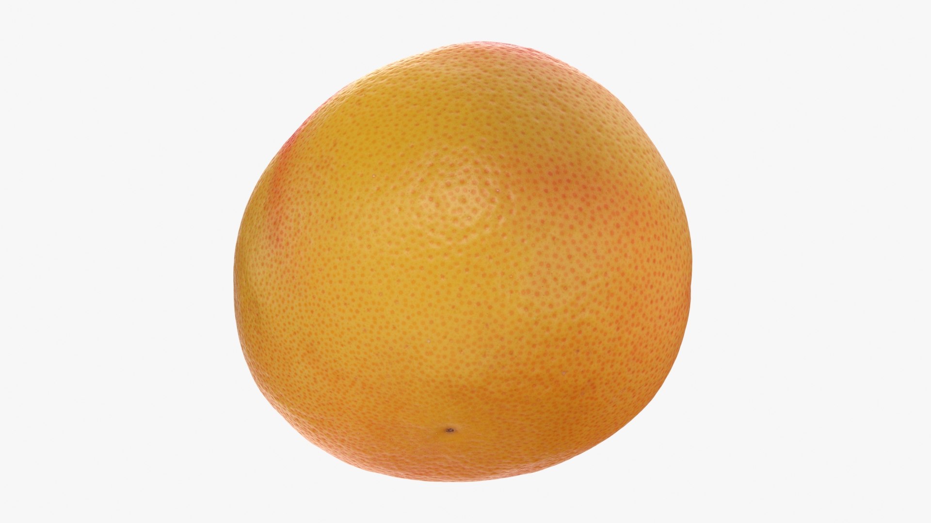 Grapefruit Model - TurboSquid 2215955