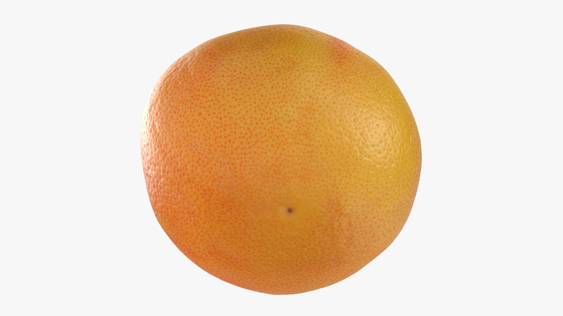 Grapefruit Model - TurboSquid 2215955