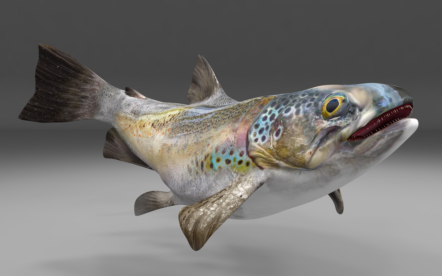TROUT L1990 3D - TurboSquid 2067912